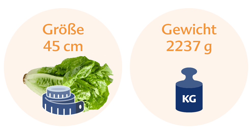 SSW 34: Das ist los in der 34. Schwangerschaftswoche